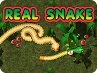 Real Snakes game - play online for free